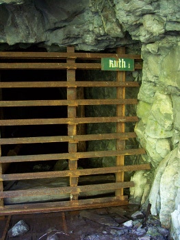 Under a Red Roof · September 2010